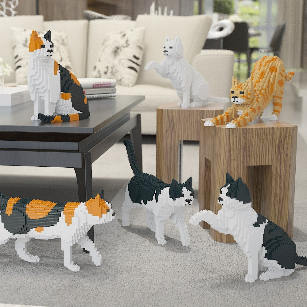 コレクション – JEKCA-SHOP